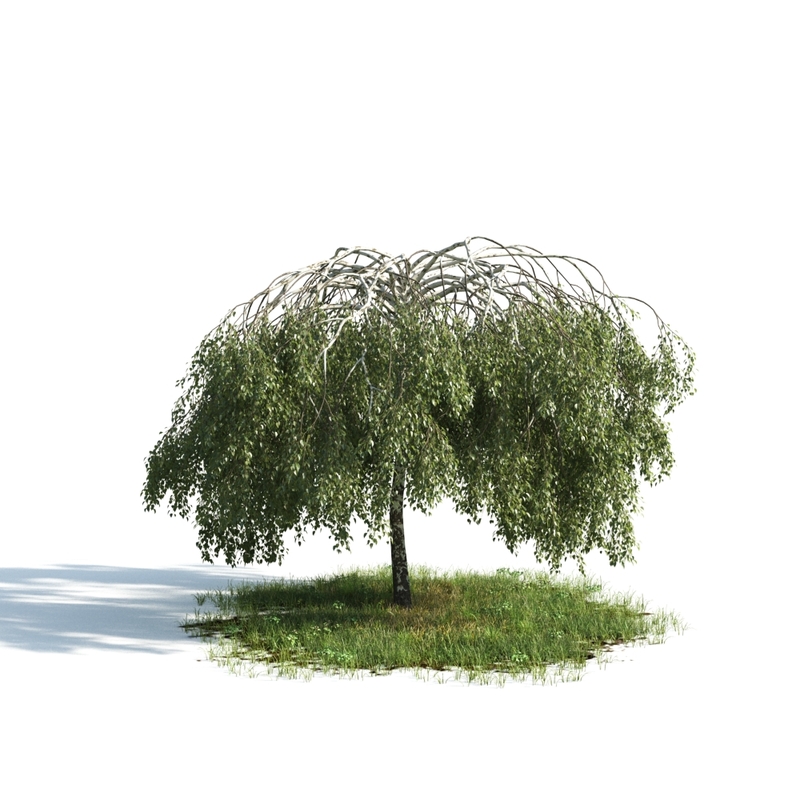 max archmodels vol 176 trees