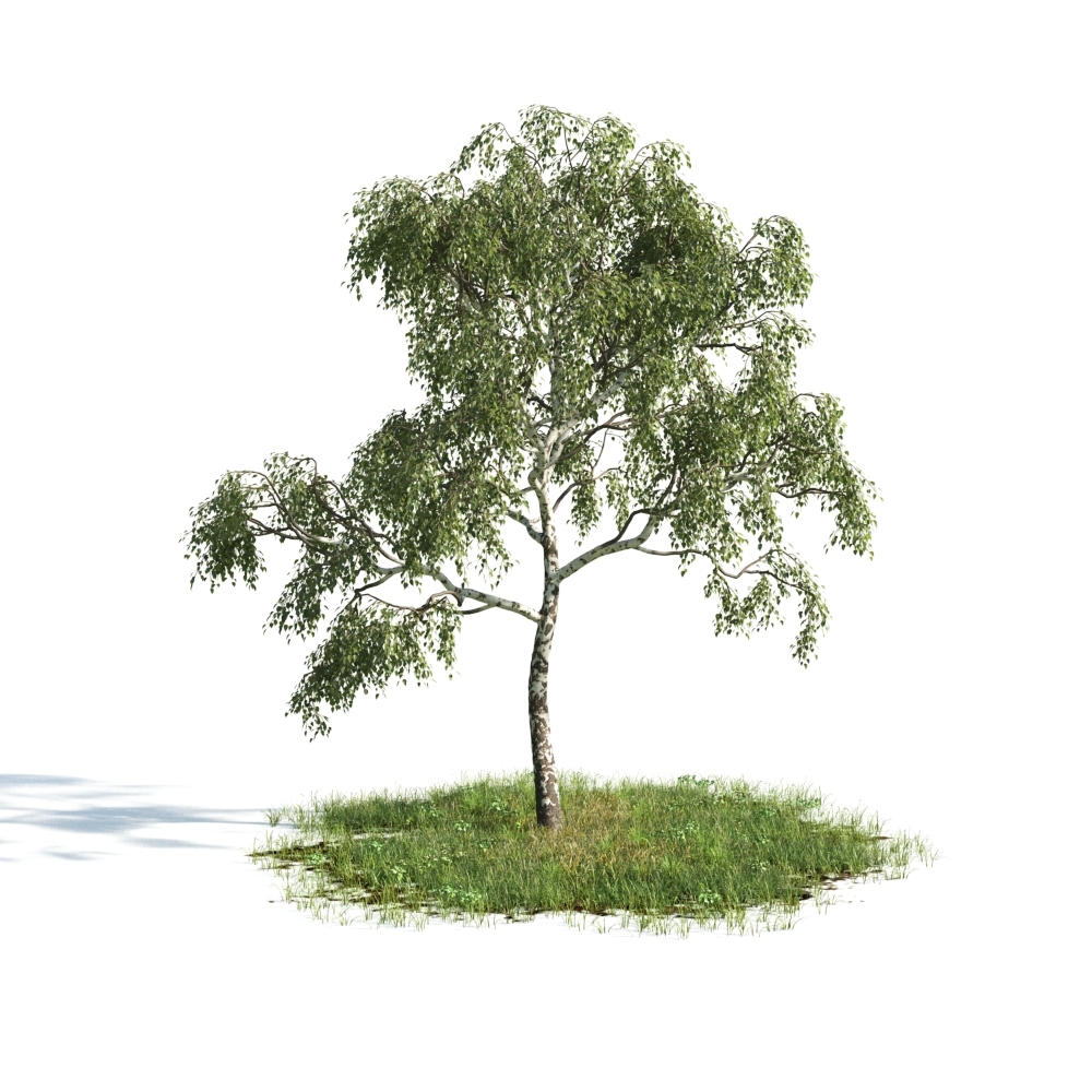 max archmodels vol 176 trees