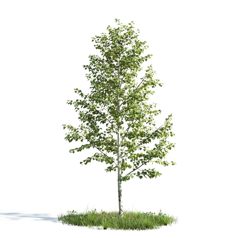 max archmodels vol 176 trees