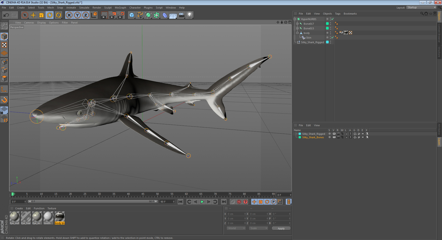 3d c4d silky shark rigged