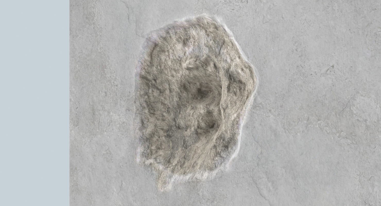 max impacts bullet holes concrete