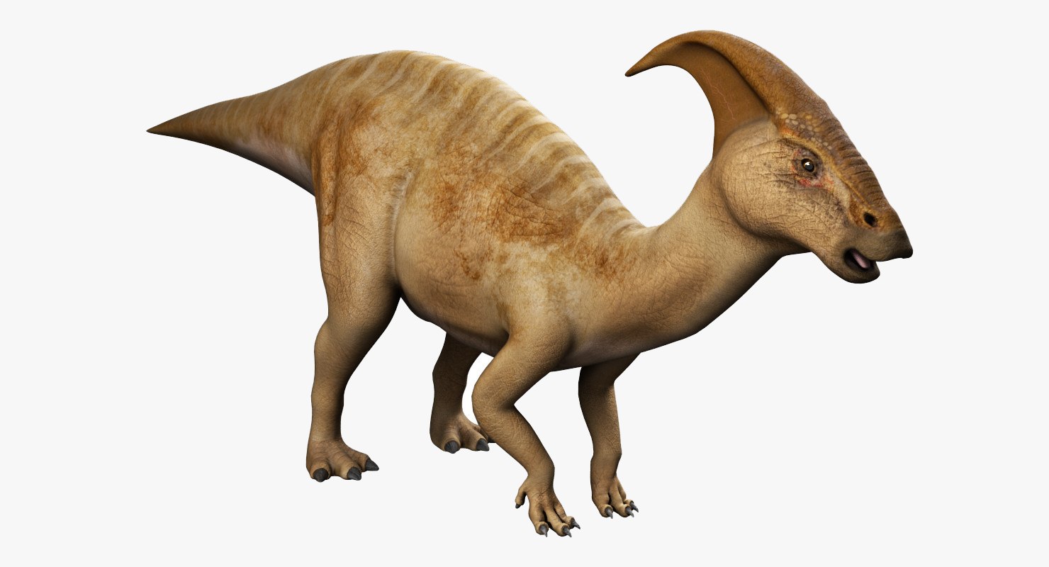3d obj parasaurolophus parasaur