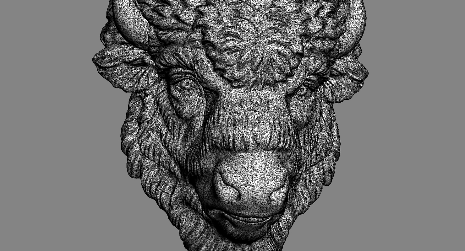 3d model american bison buffalo head