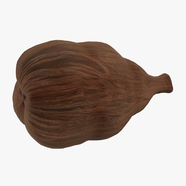 3d model of cardamom black