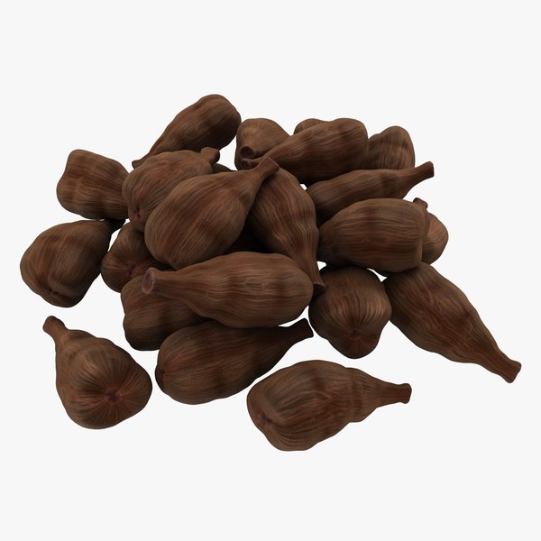 cardamom pose 2 black 3d model