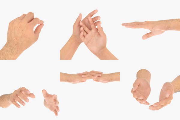 3d model hands rig animate customizable