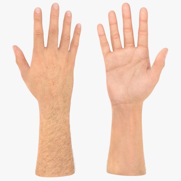 3d model hands rig animate customizable