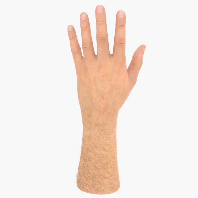 3d model hands rig animate customizable