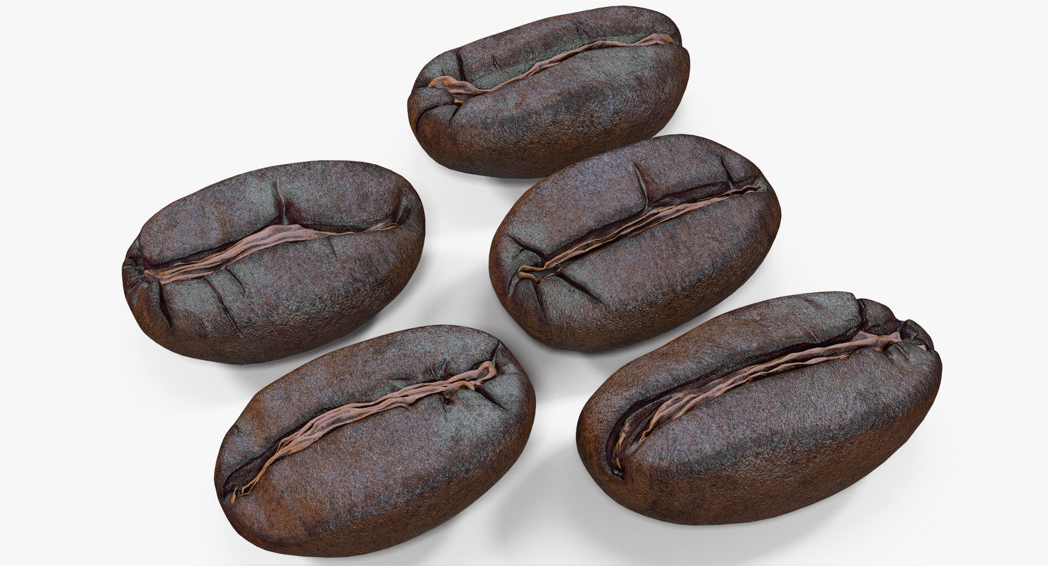 3d roasted coffee bean model