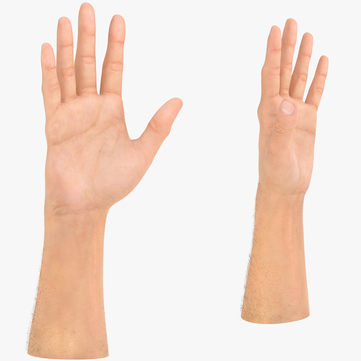 3d model hands rig animate customizable