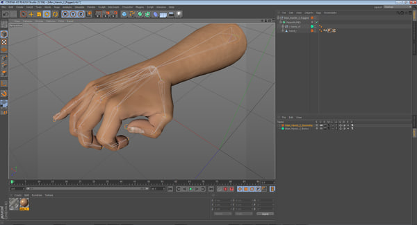 3d c4d man hands 2 rigged