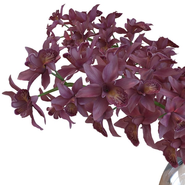 3d model flower