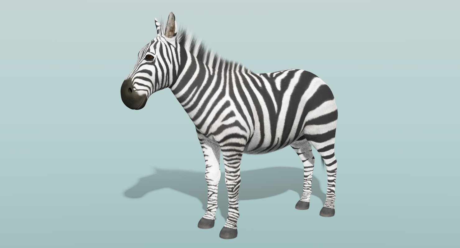 zebra fur animation 3d max