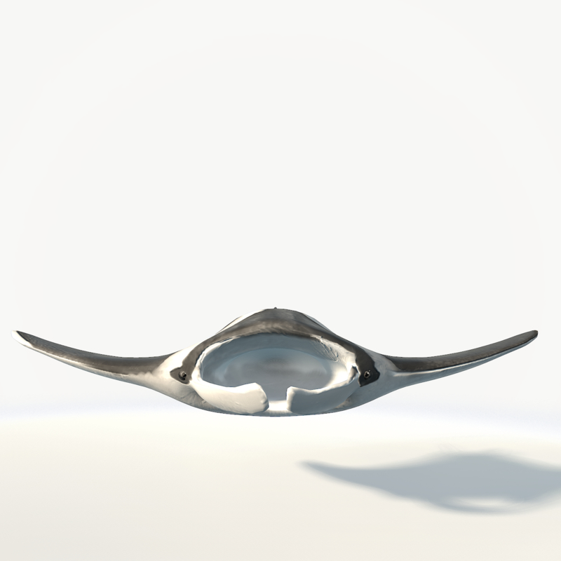 3d Manta Games 