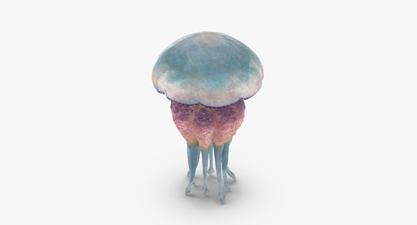 jellyfish 03 3d max