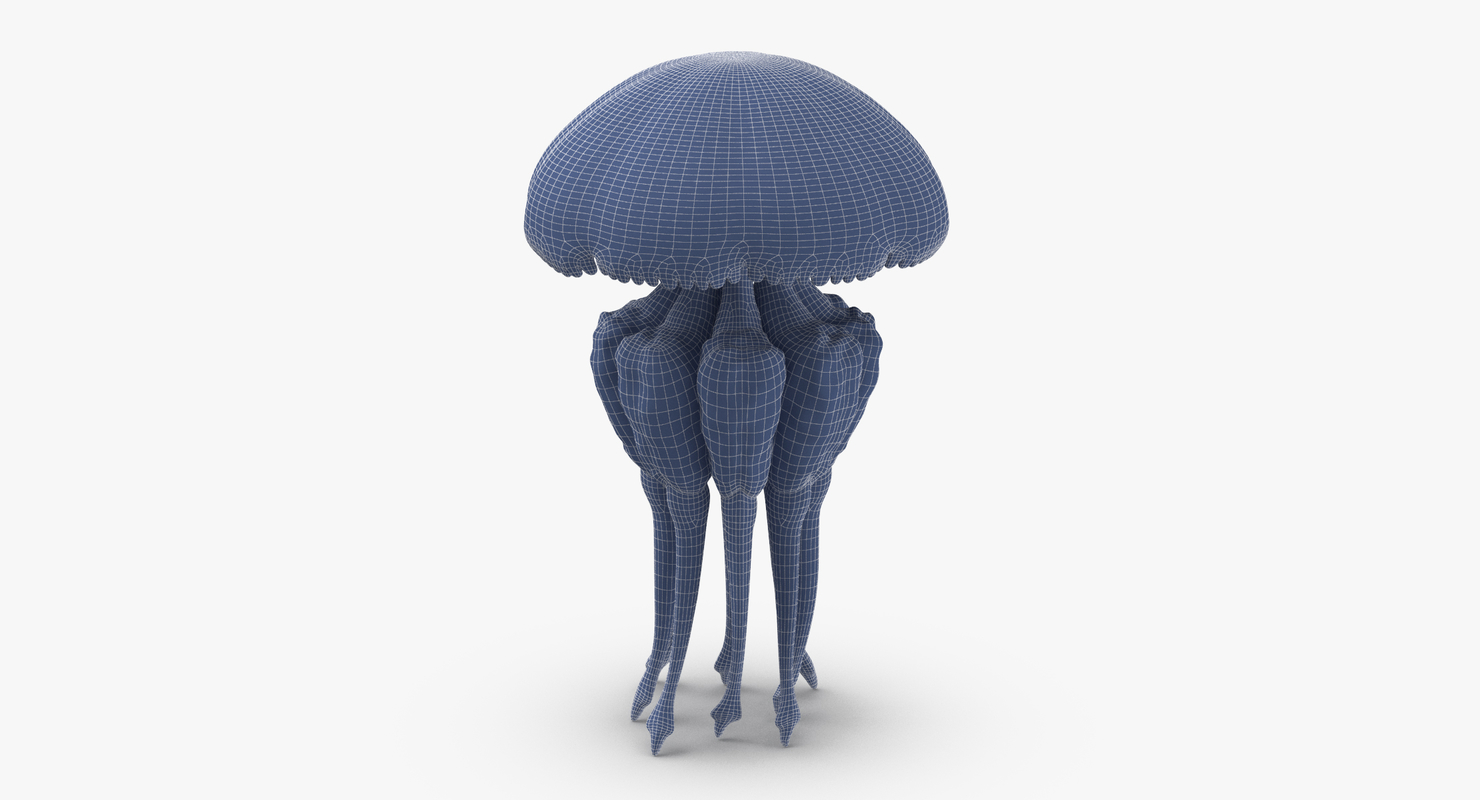 jellyfish 03 3d max