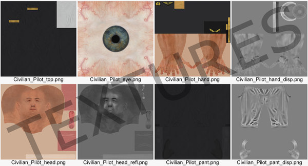 airline pilot 3d model