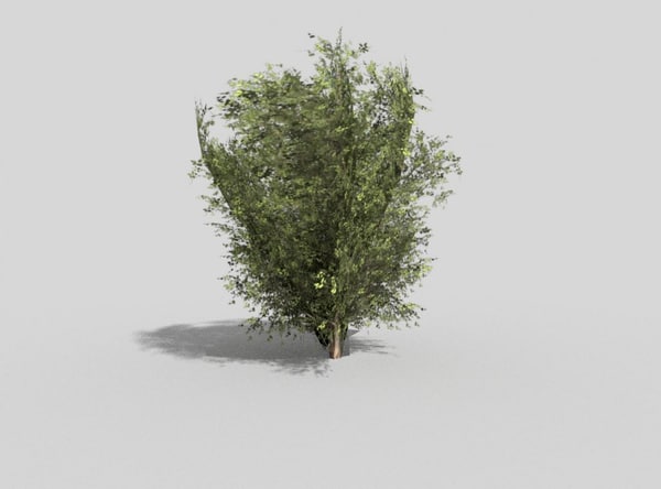 Bush Blender Models for Download | TurboSquid