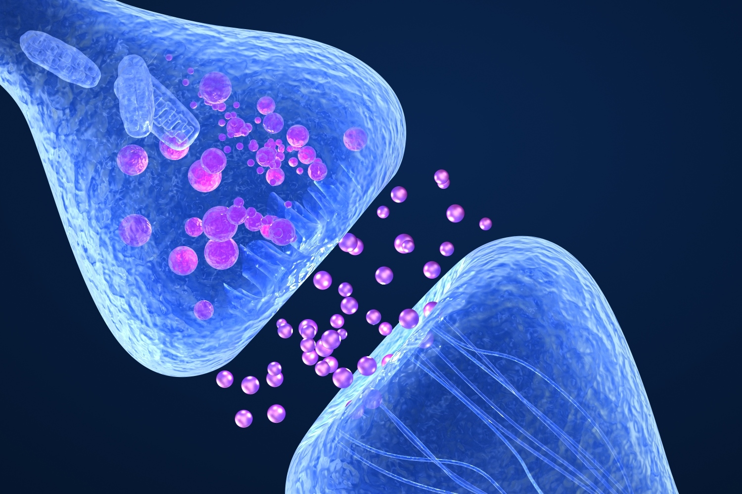 3d max active receptor human brain
