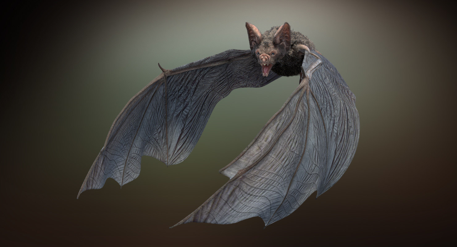 3d vampire bat