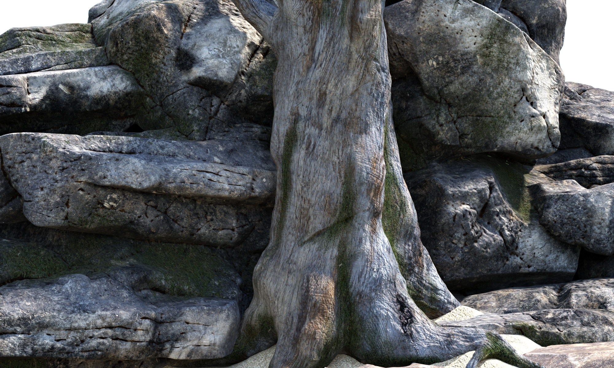 free rock tree 3d model
