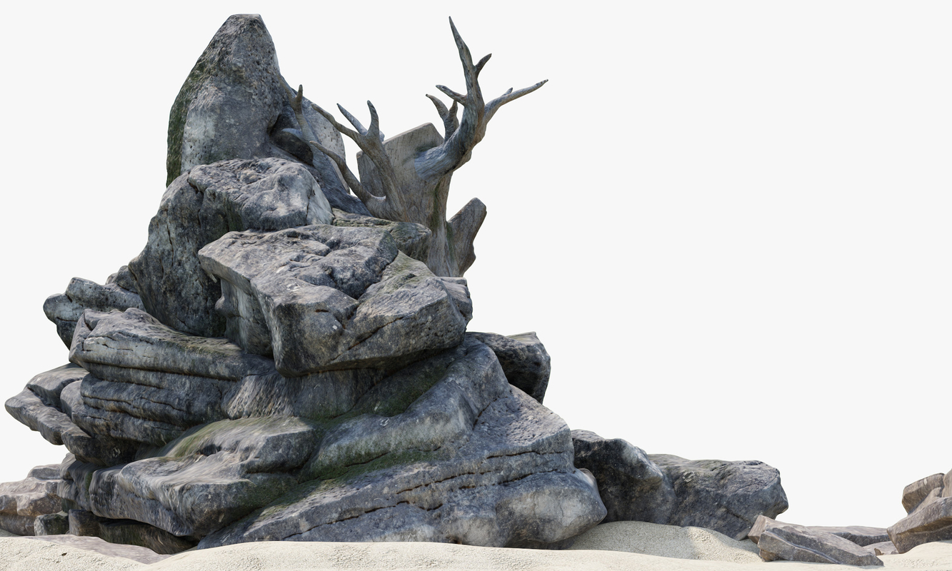 free rock tree 3d model