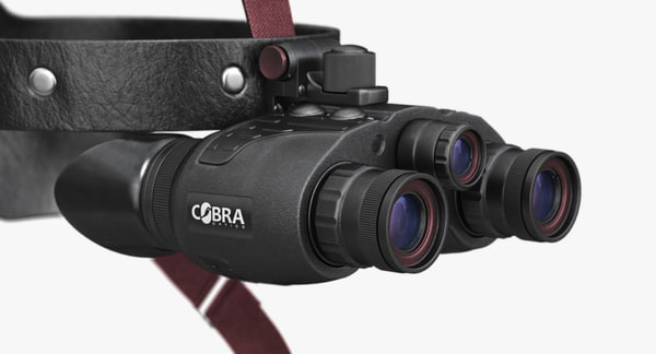 3d cobra optics goggles
