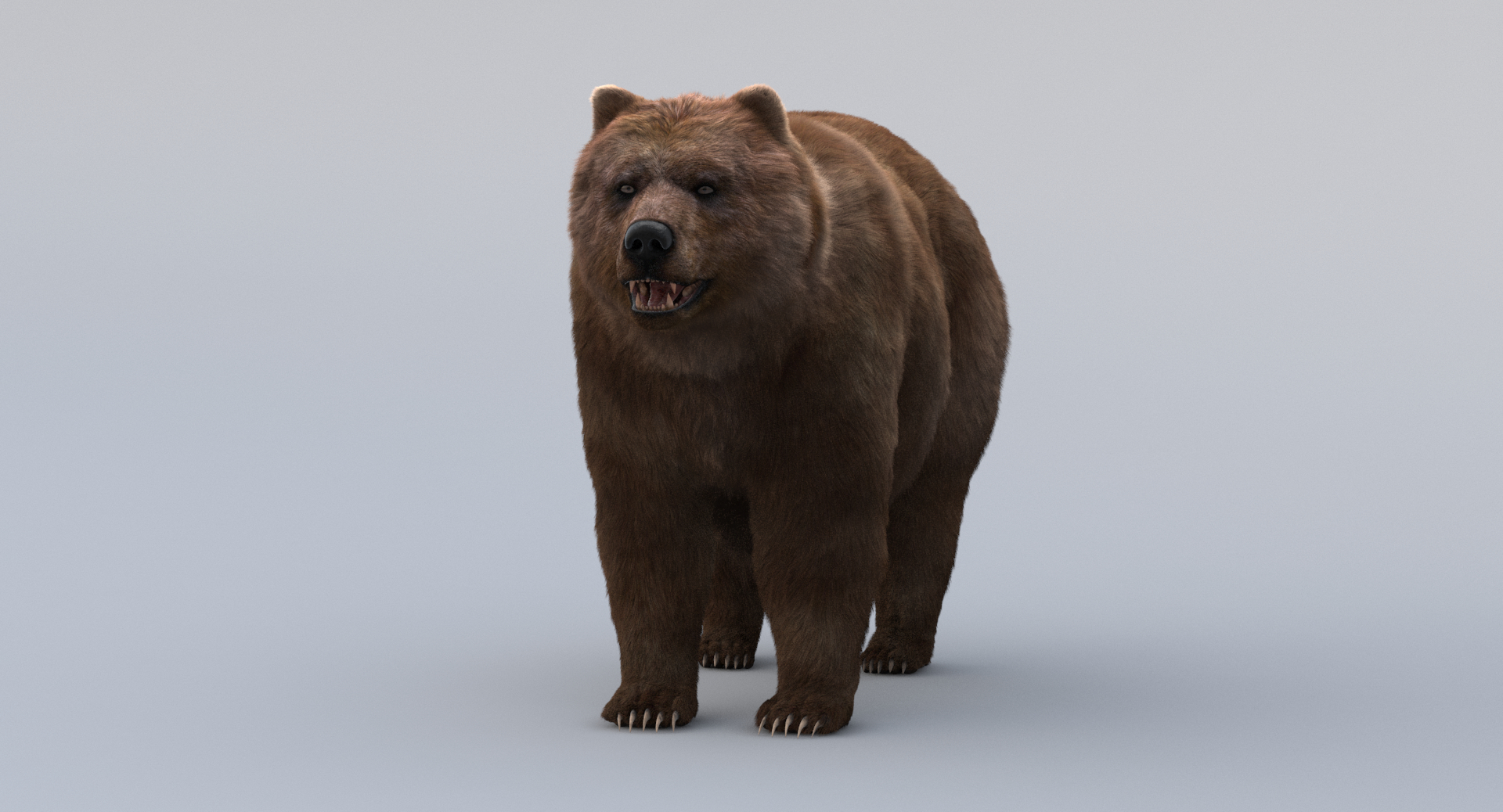 3d model bear fur