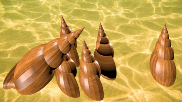 Wentletrap seashell 3D model - TurboSquid 1316549