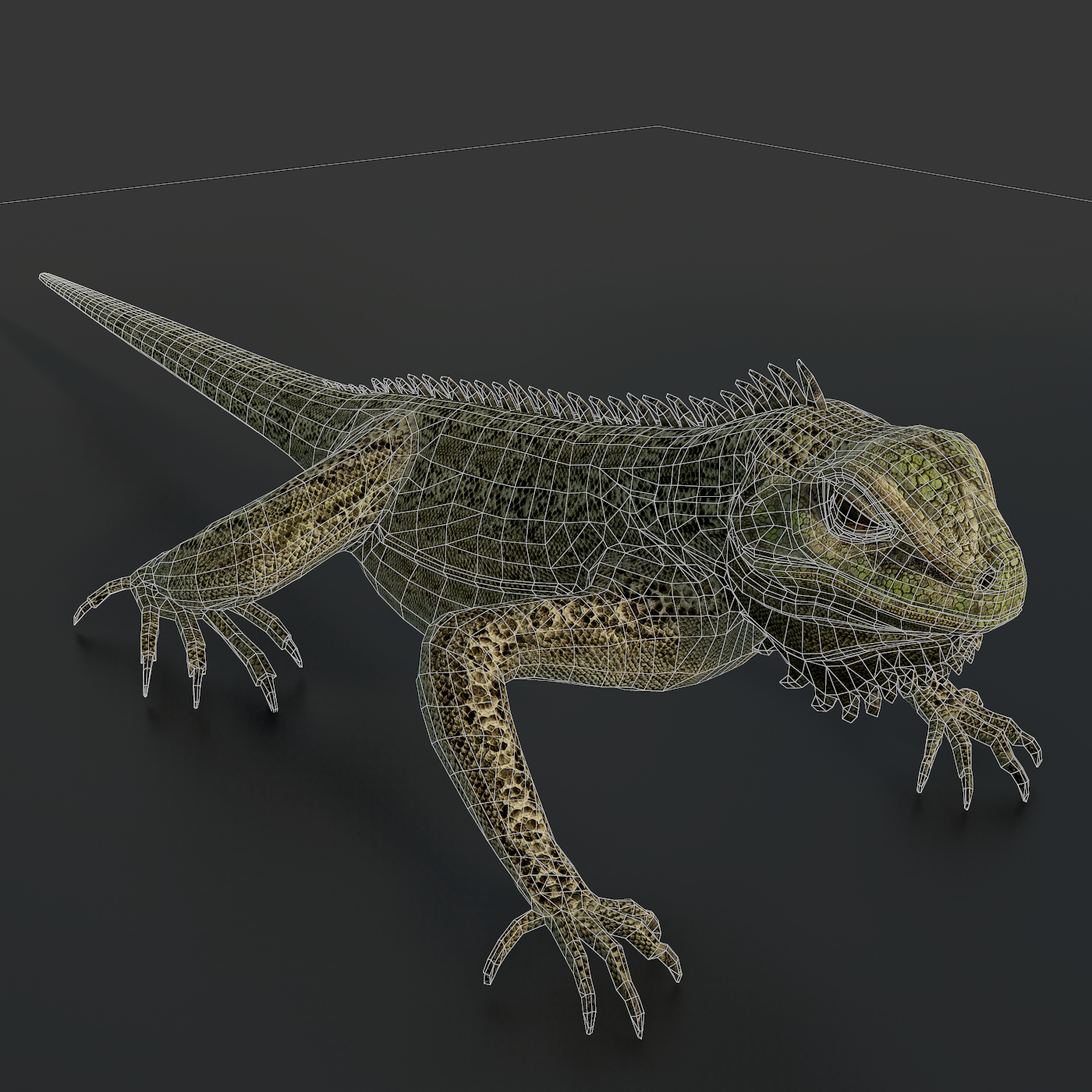 3d model of iguana resolution ready