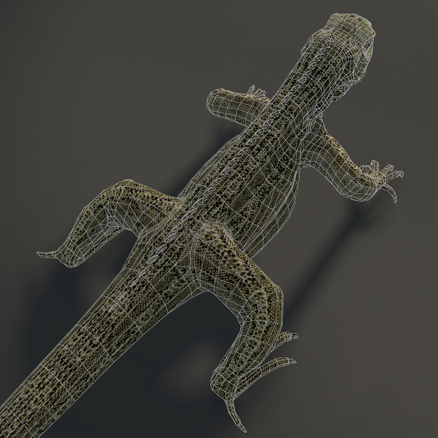 3d model of iguana resolution ready