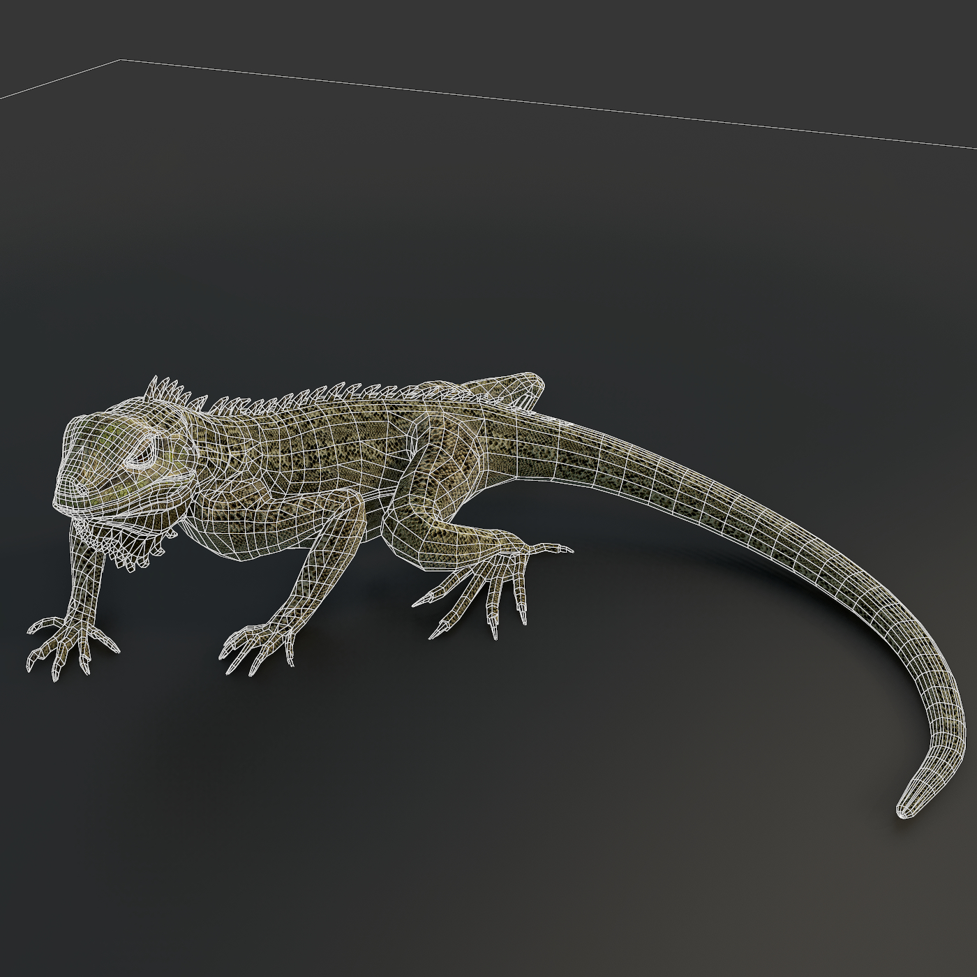 3d iguana rig animation model