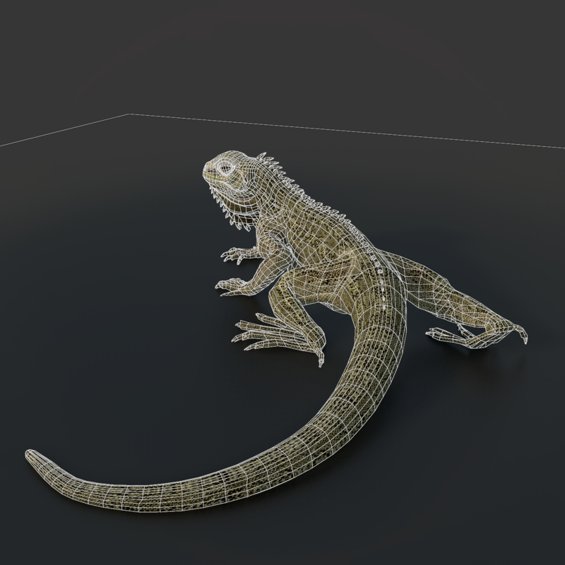 3d iguana rig animation model