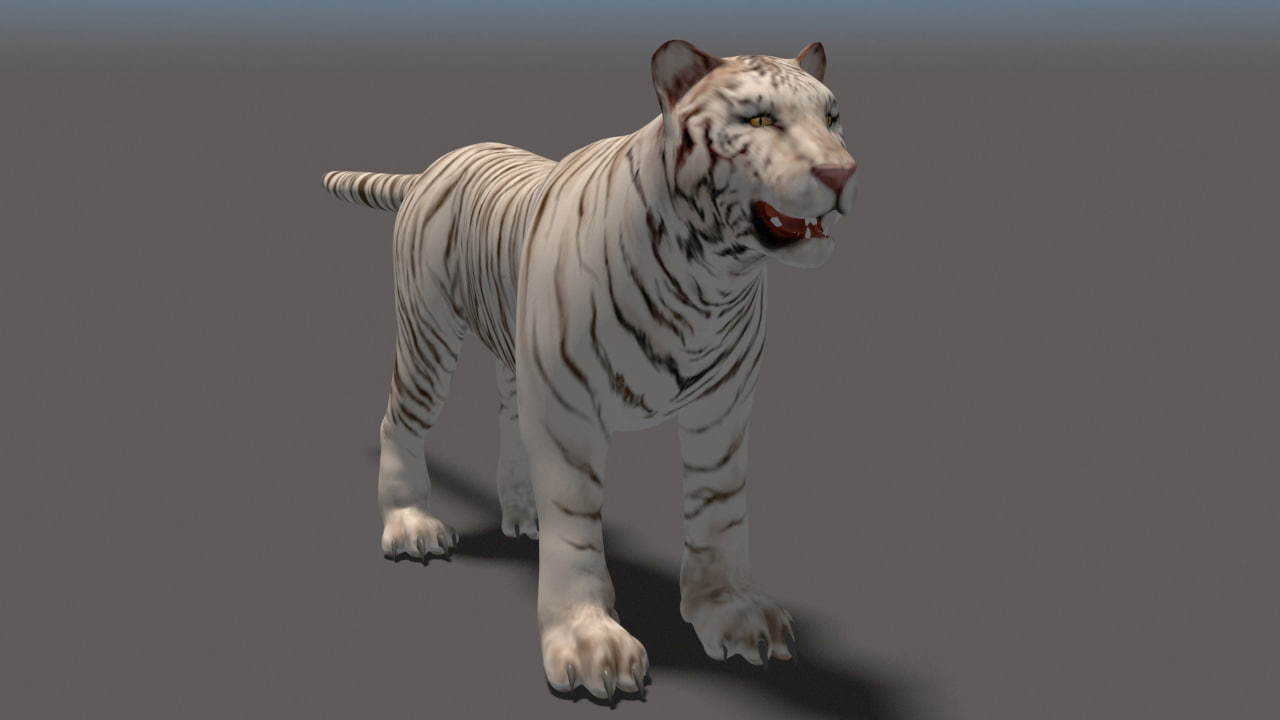 white tiger 3d model