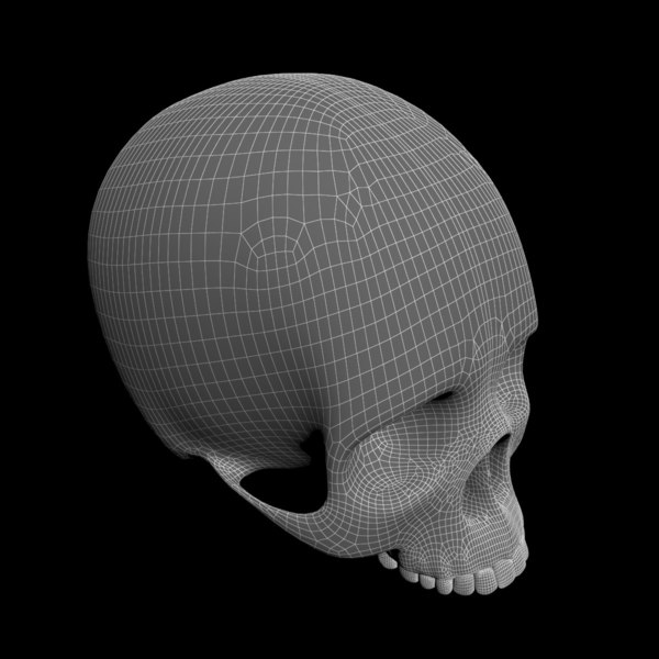 skull design 3d model