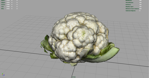 3d cauliflower