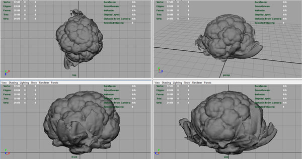 3d cauliflower