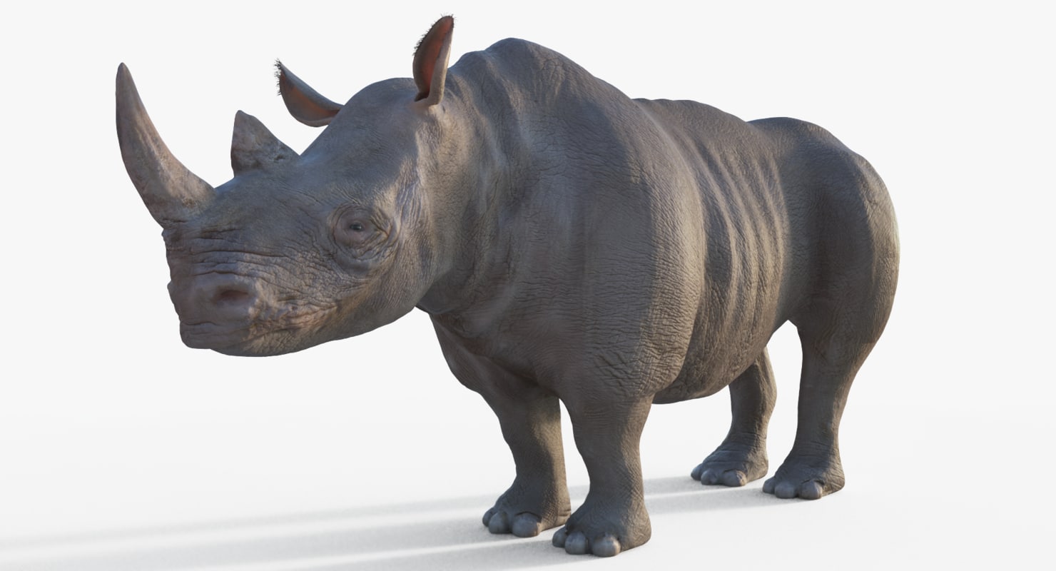 3d realistic rhino