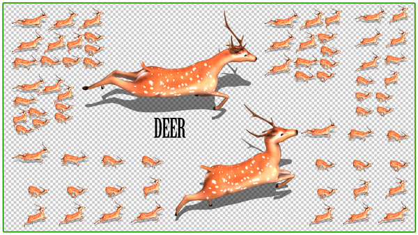 Animation animated animals animal