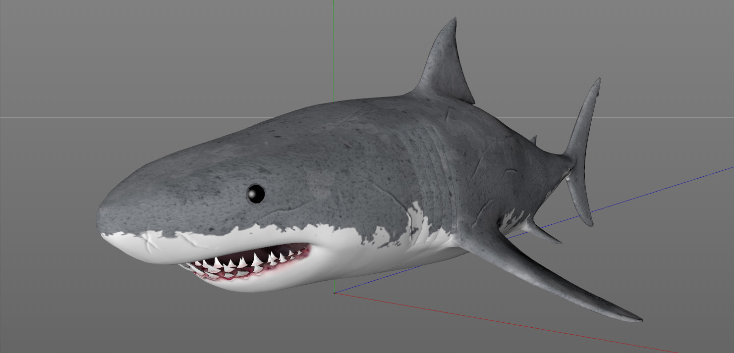 modelo 3d Gran tiburón blanco - TurboSquid 1109600