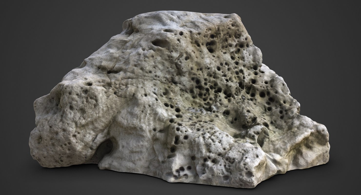 coral rock 1 3d model