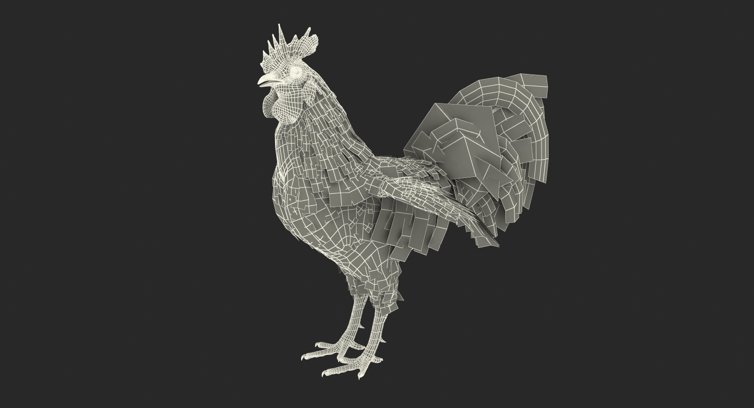 3d rooster rigged