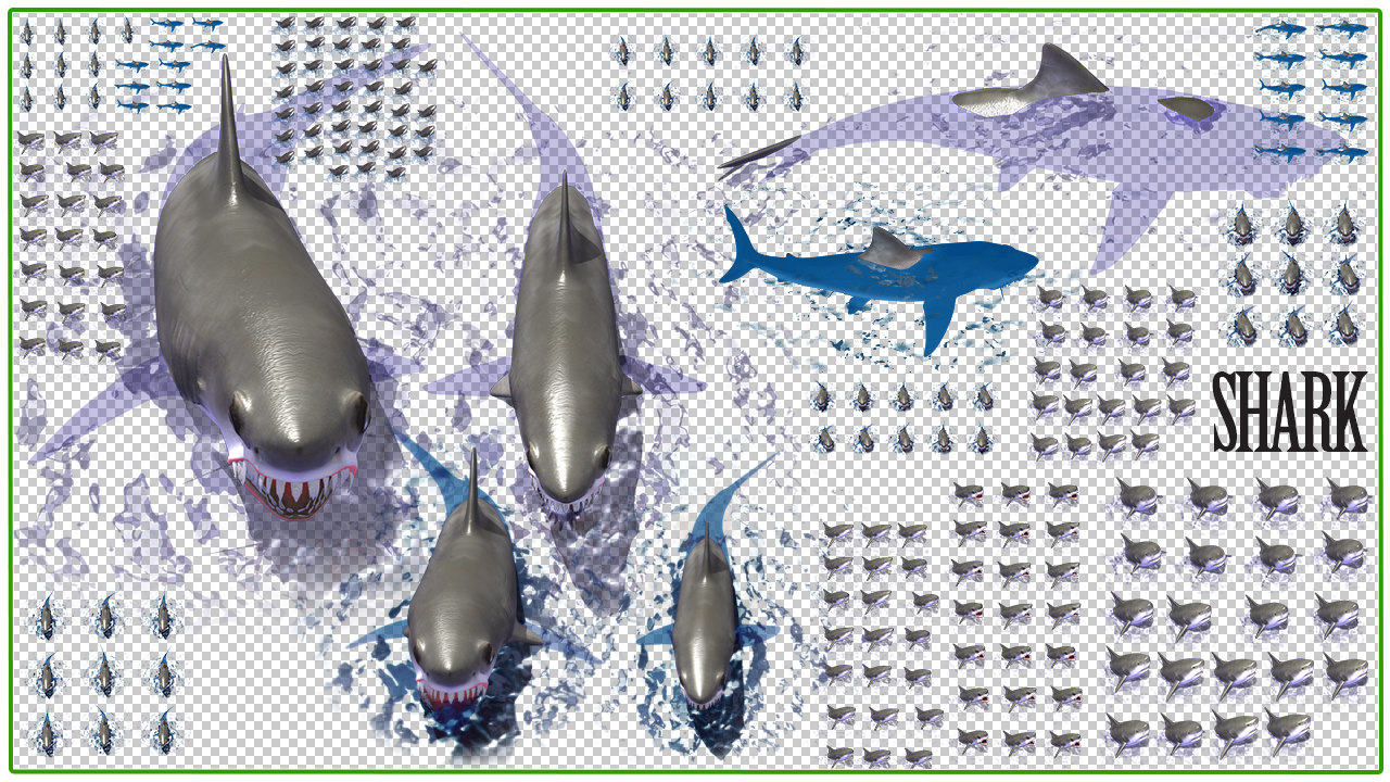 Animation Animated shark charecter