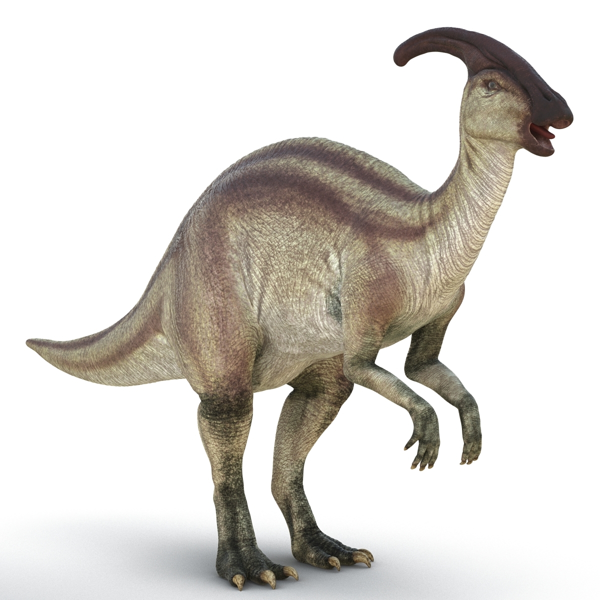 parasaurolophus rigged 3d ma