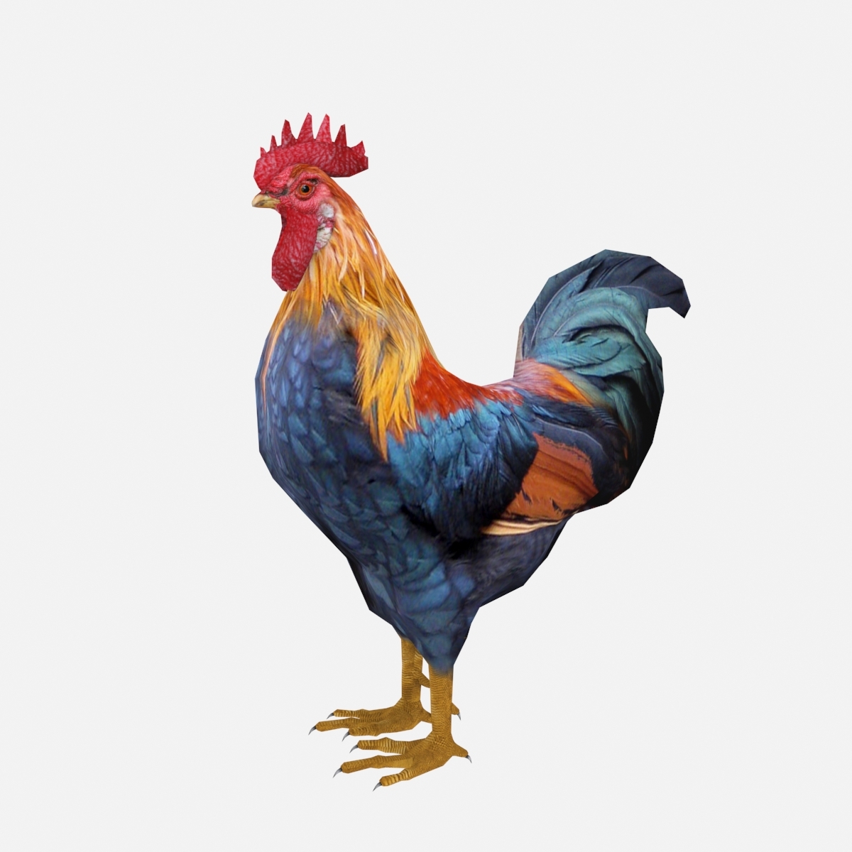 Hahn 3D-Modell - TurboSquid 1110925