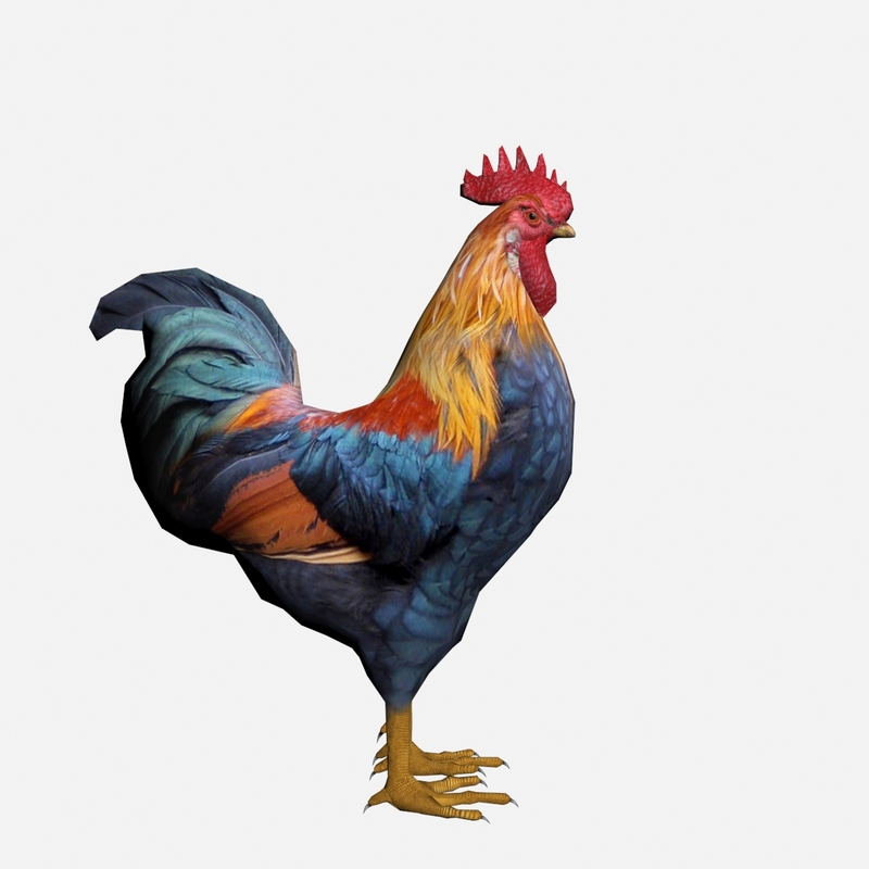 3d model rooster