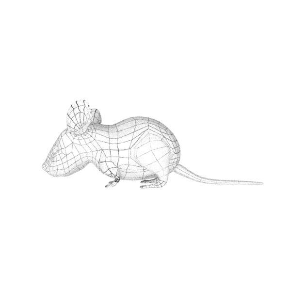 mouse 3d model