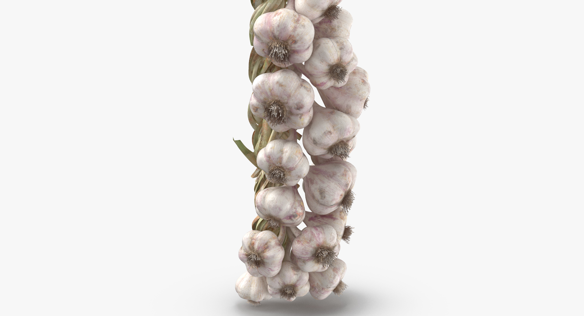 hanging garlic 3d max