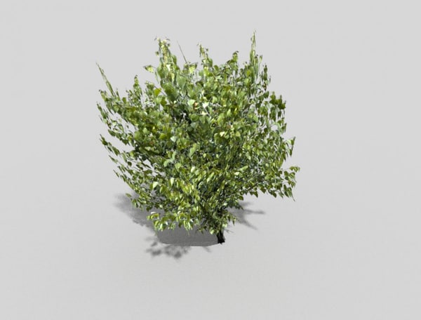 Bush Blender Models for Download | TurboSquid