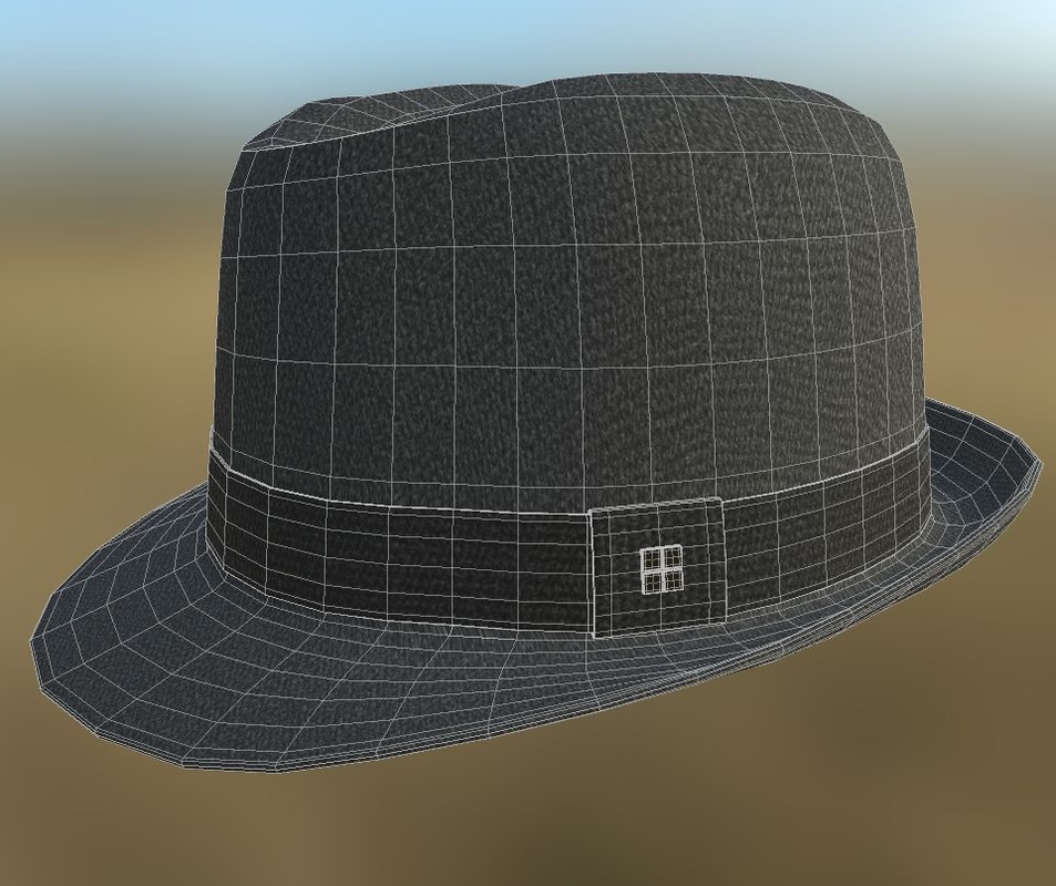 3d hat